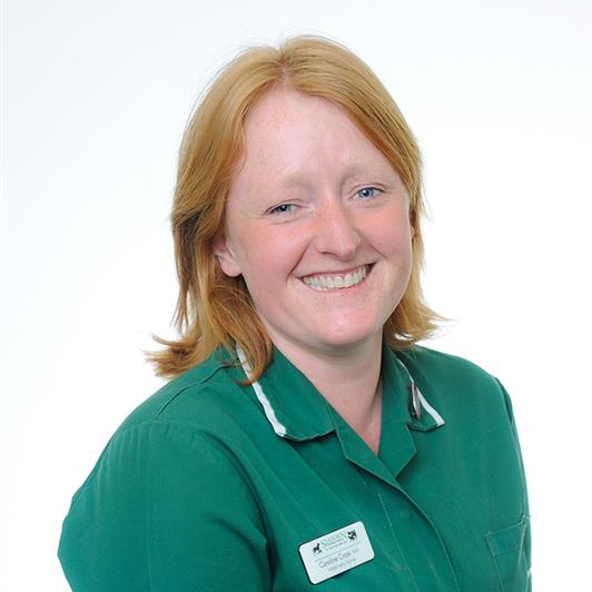The Nurses - Seadown Veterinary Services