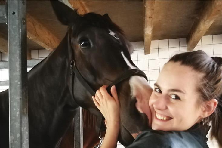 Equine, Farm and Small Animal Veterinary Services in The New Forest ...